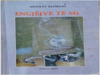 Murat Gashi: Bota poetike e Nexhat Elshanit