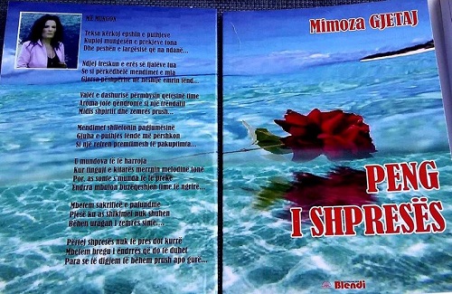 Hasan Hasanramaj: Fuqia e shprehëse e librit me poezi të mërgimtares ...